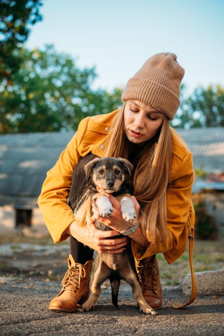 Paws On Death Row – Giving A Second Chance At Life To Animals In Shelters