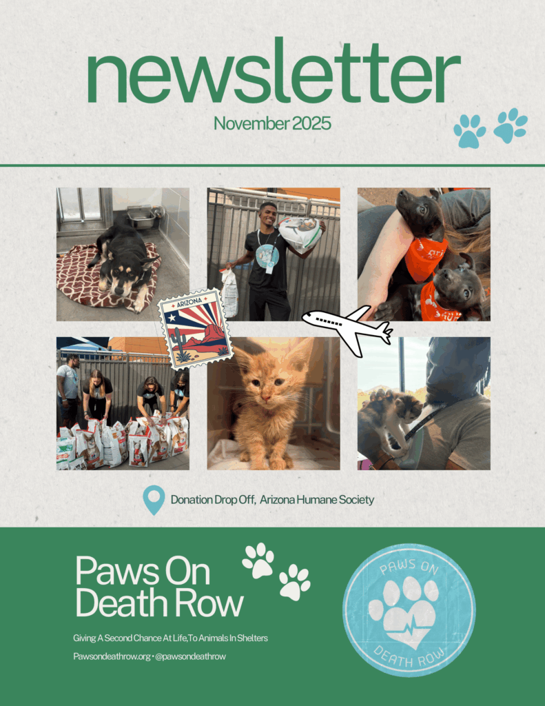 Monthly Newsletter – Paws On Death Row